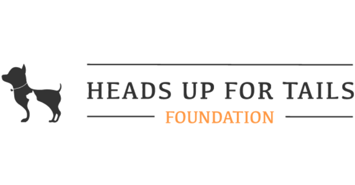 News – HUFT foundation